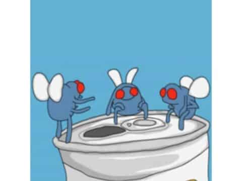 What do you call a Drosophila who likes to drink? A bar fly! - Nuhsbaum