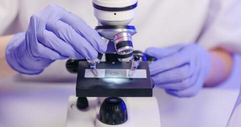 Dissecting Microscope - Definition, Principle, Parts