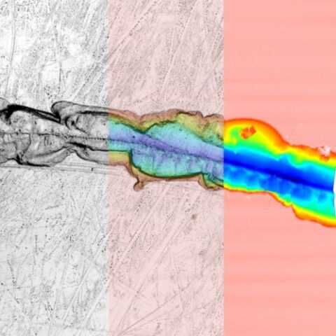 ZEISS LSM 900: Confocal Microscopy for Materials Science