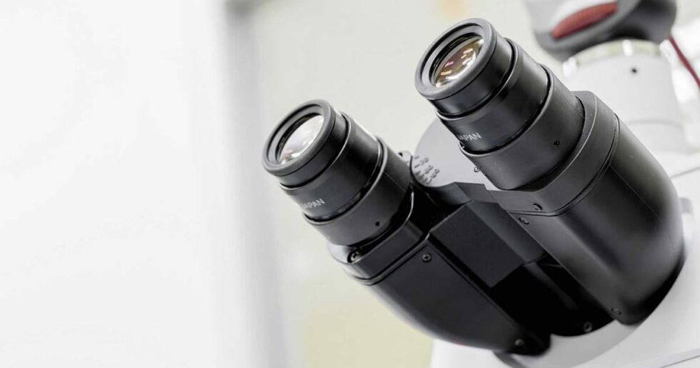 Understand Stereo Microscopes: Benefits & Uses